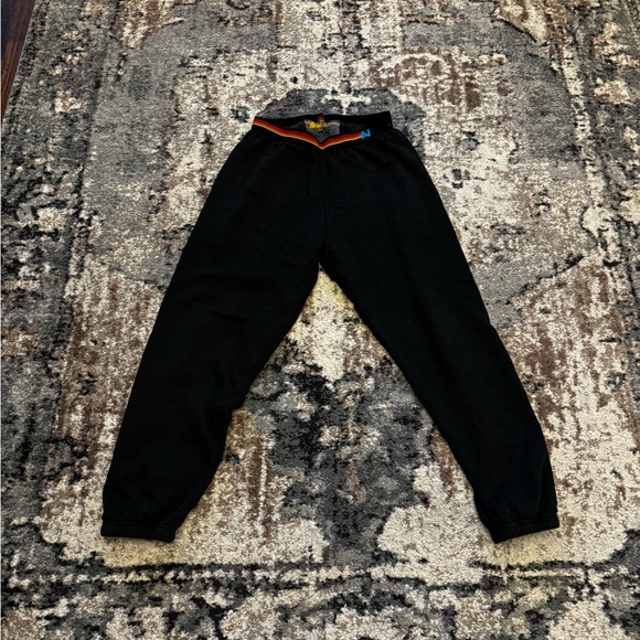 Aviator Nation | Other | Aviator Nation Sweatpants | Poshmark